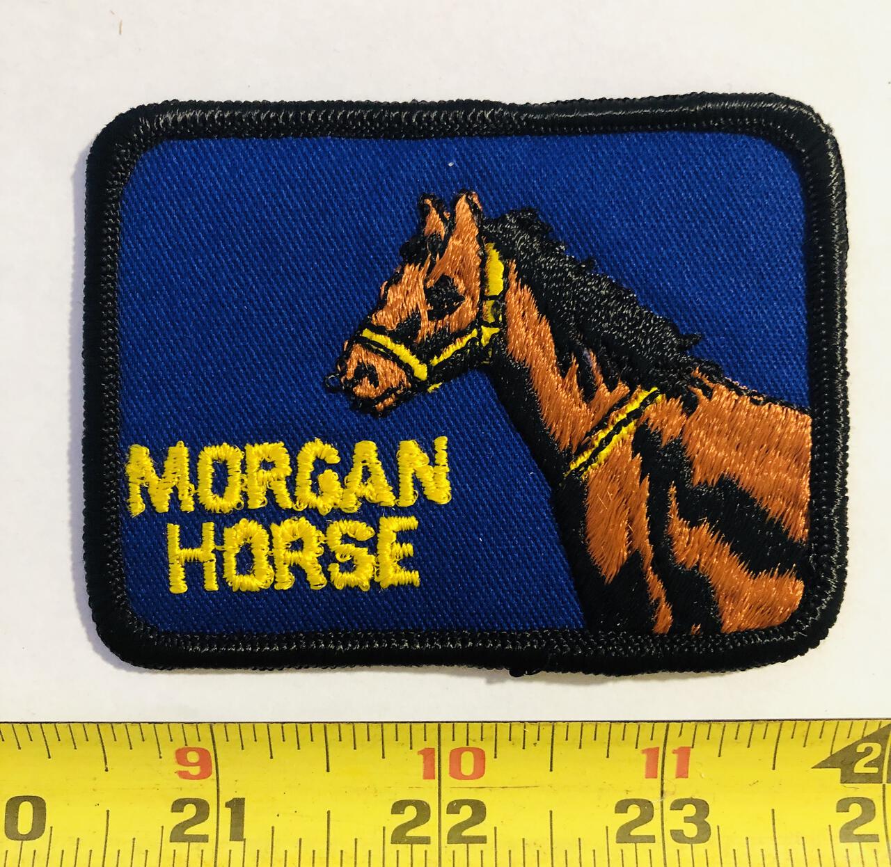 Morgan Horse Vintage Patch – The VintagePatch