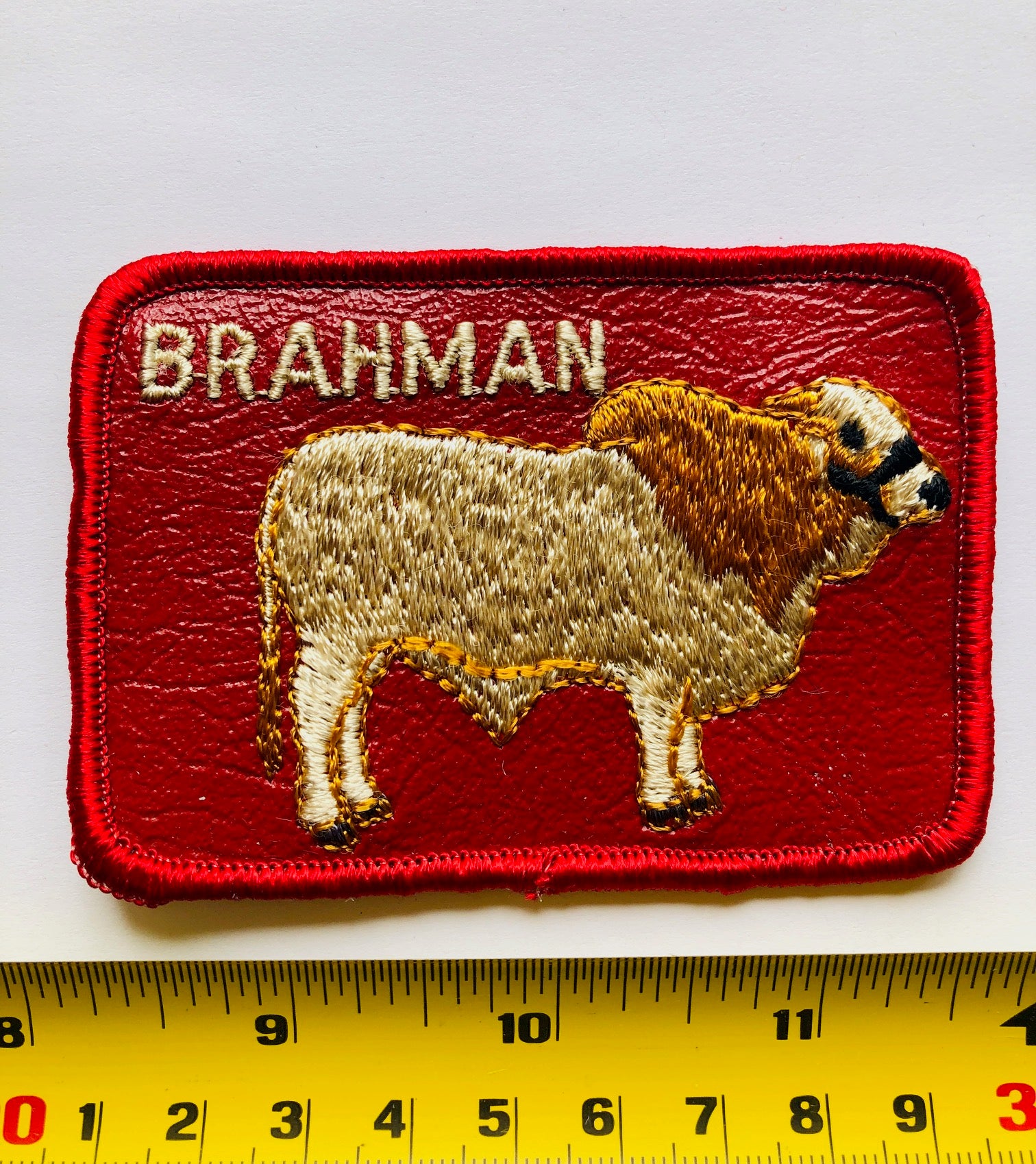 Vintage Brahman Cow Patch – The VintagePatch