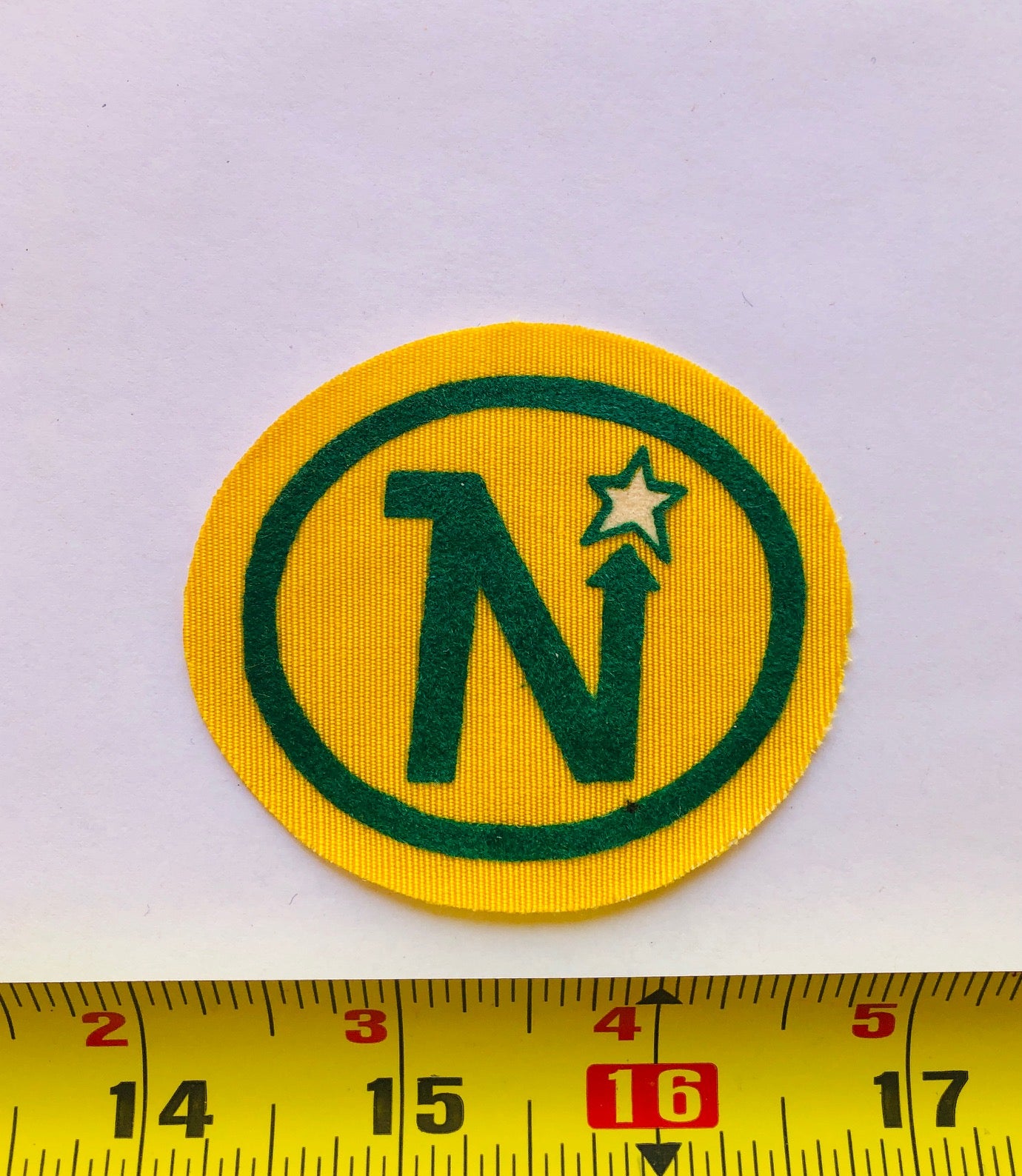 Vintage Minnesota North Stars Hockey Patch – The VintagePatch